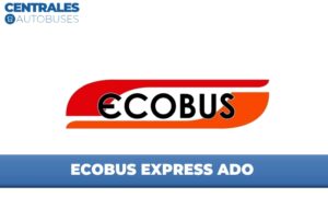 Autobuses Ecobus ADO - Horarios, boletos, facturación y teléfonos 【 ️2024】